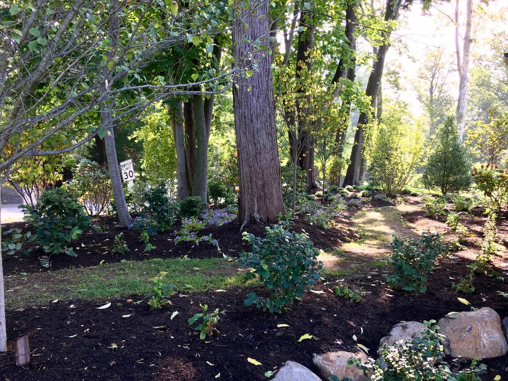 Villanova Plant Design and Install - Farmhouse - Landscape ...