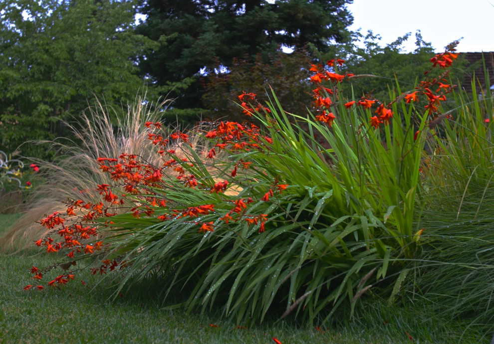 Vision Scapes Portfolio - Traditional - Landscape - San Francisco - by ...