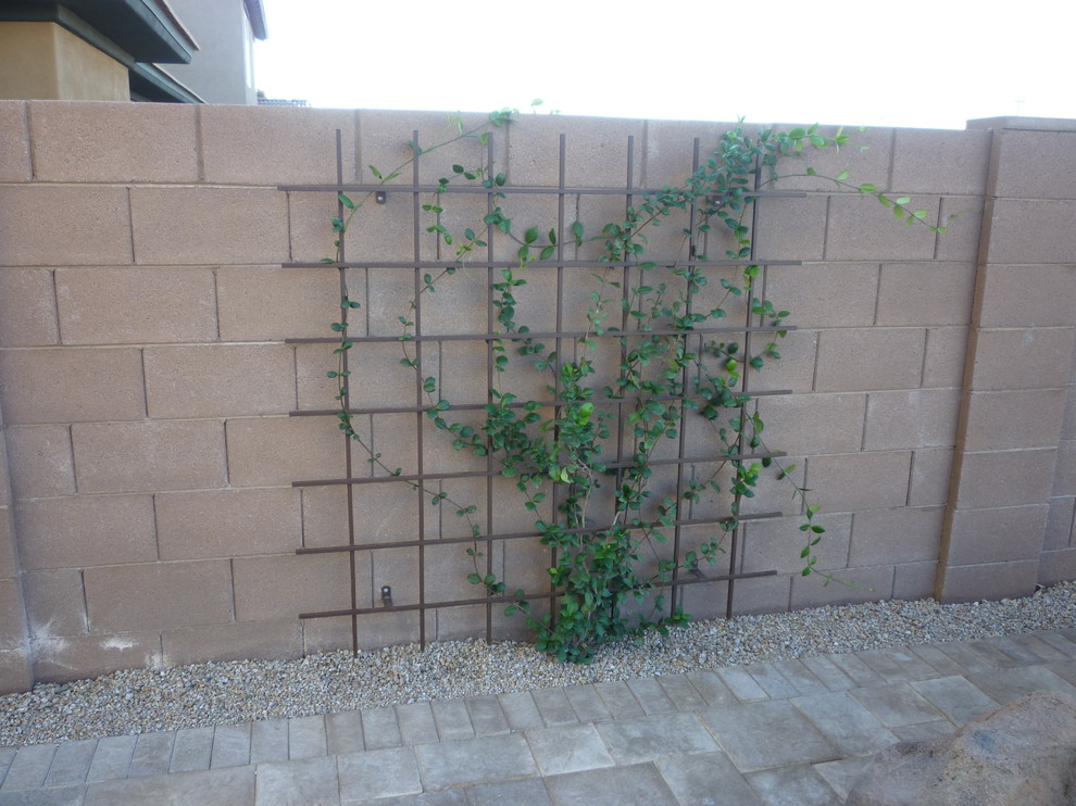 Wall Mounted Trellis w/ Jasmine - Contemporary - Landscape - Phoenix ...