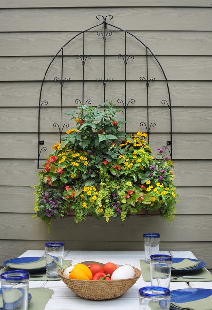 Wall Planters & Trellises - Transitional - Garden - Miami - by Pamela ...