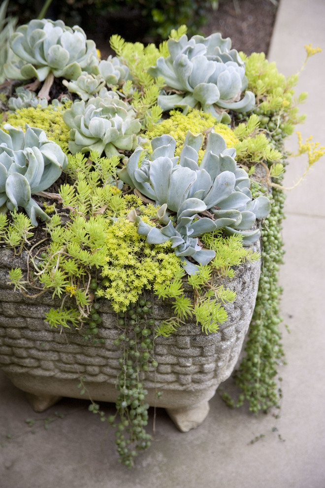 Wallace Neff Traditional - Traditional - Landscape - Los Angeles - by ...