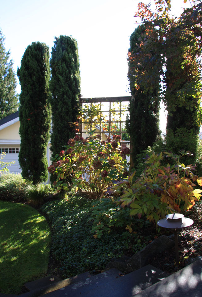 Wallingford Small Space Art Garden - Traditional - Landscape - Seattle ...