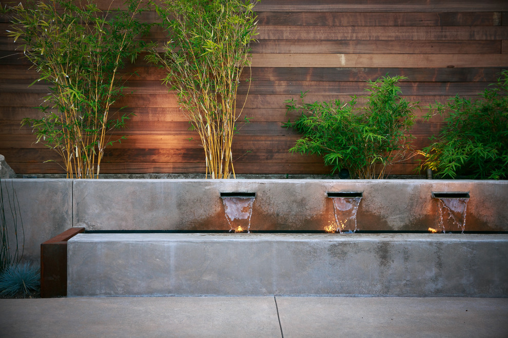 Walnut Creek - Modern - Landscape - San Francisco - by Envision ...