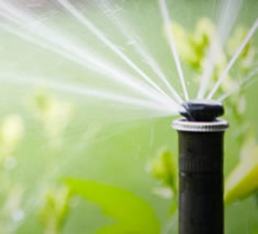 Water Conservation - American Southwest - Garden - Phoenix - by Waibel ...