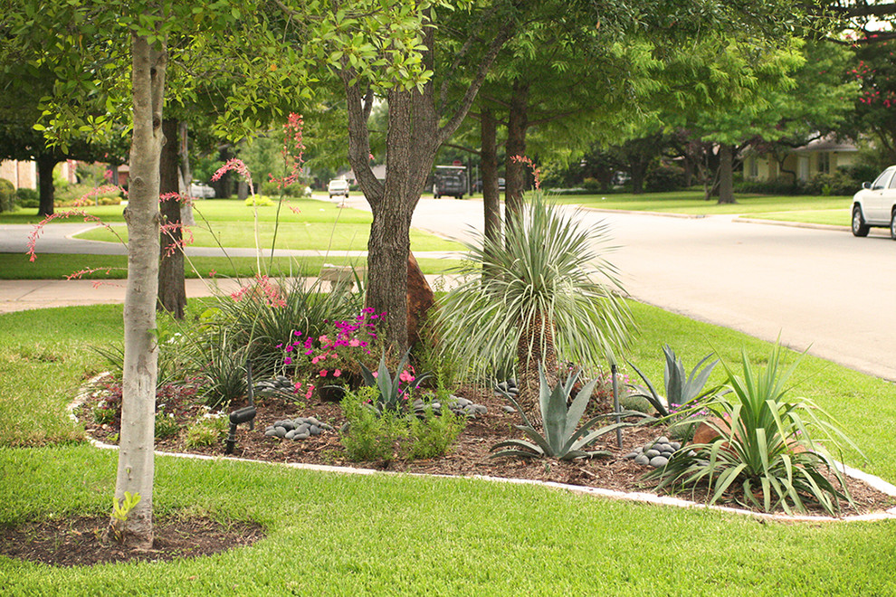 Water Efficient Landscape Renovation - Traditional - Landscape - Dallas ...