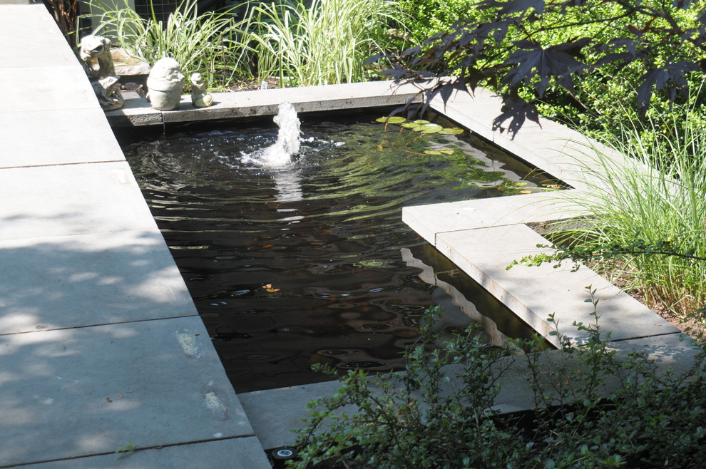 Water Features - Pond with Bluestone ramp - Contemporary - Landscape ...