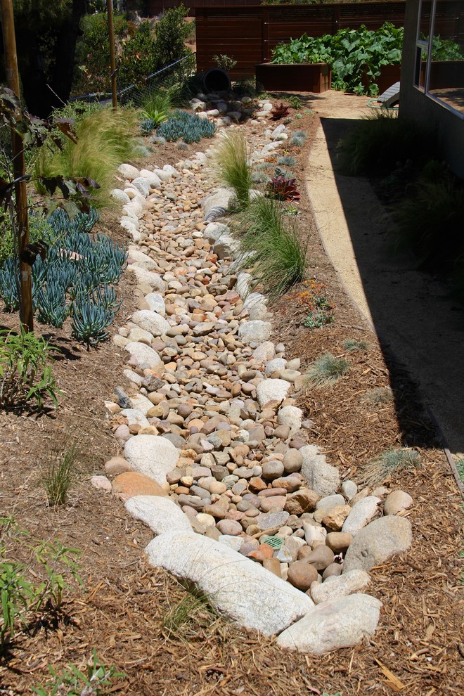 Water Wise Landscape Refresh (Clairemont Mesa) - Contemporary ...