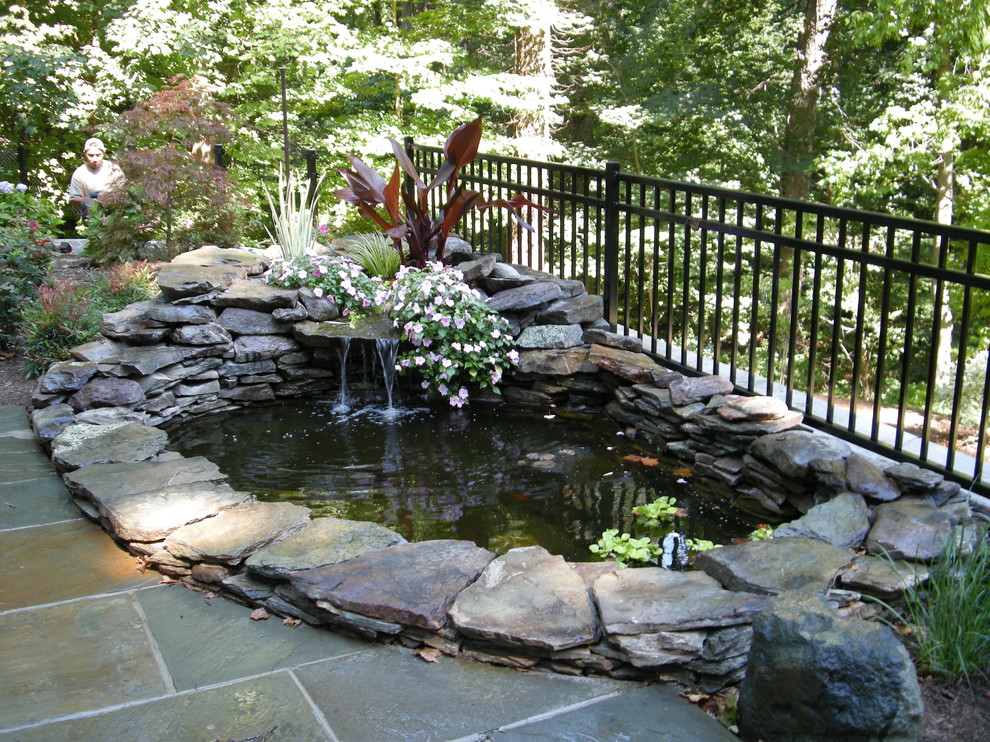 Waterfall Pond with Iron Fence and Aquatic Plants - Contemporary ...