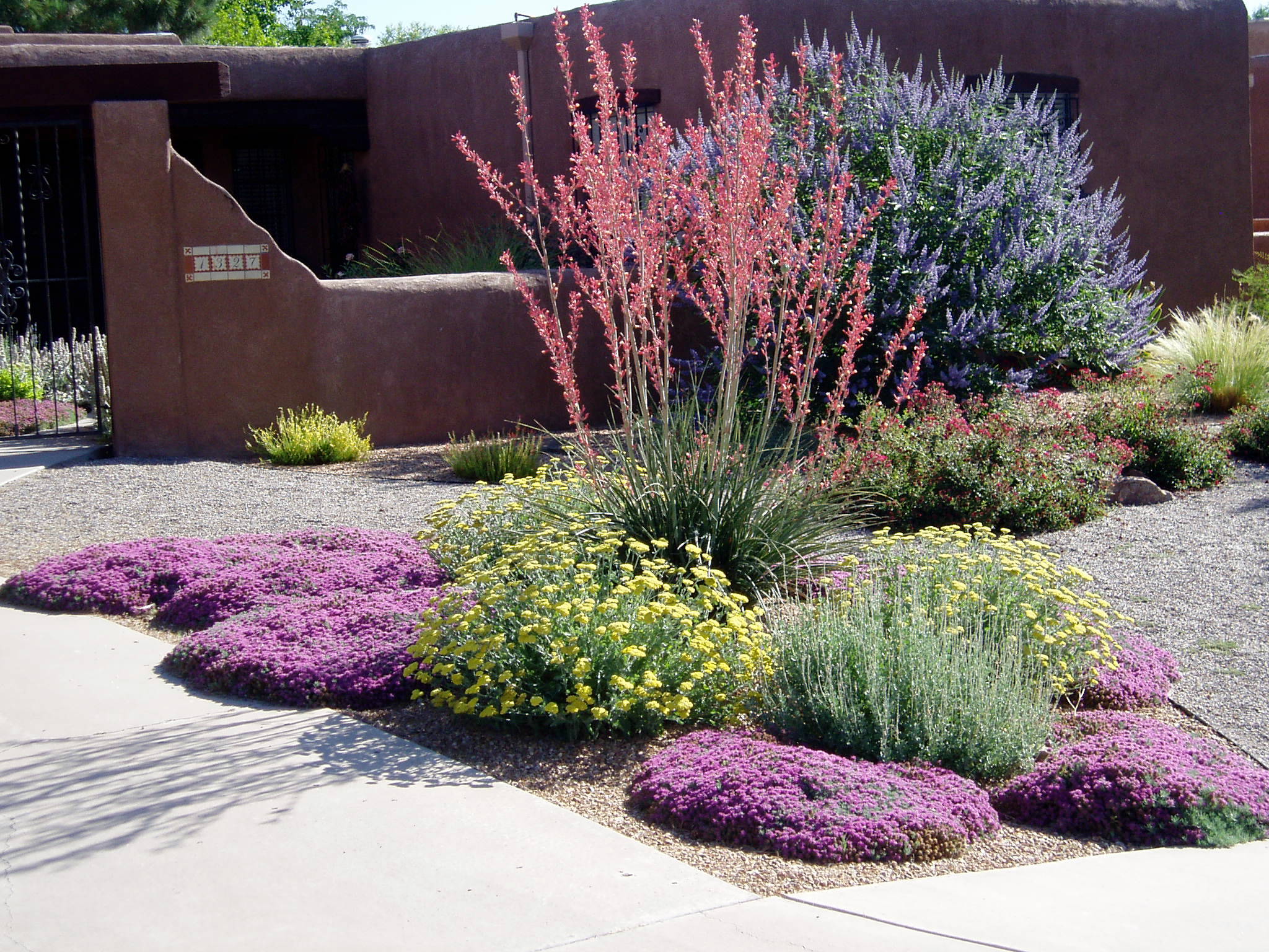 South West Landscaping Ideas 75 Southwestern Landscaping Ideas You'll