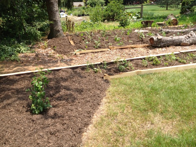 Weed Patch to Native Perennial Bed - Contemporain - Jardin - Détroit ...
