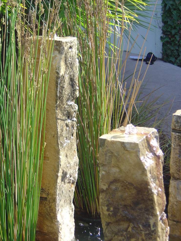 weeping columns - Contemporary - Landscape - San Francisco - by ...