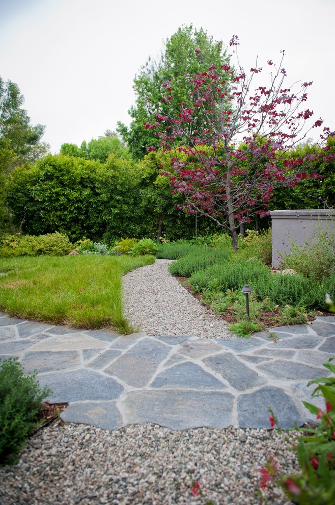 Redbud, Seasonal Delight - Landscape - Los Angeles - by FormLA ...