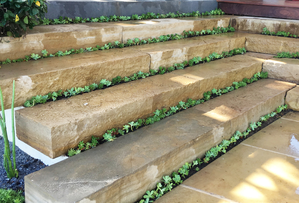 Limestone Steps and Succulents - Contemporary - Landscape - Austin - by ...