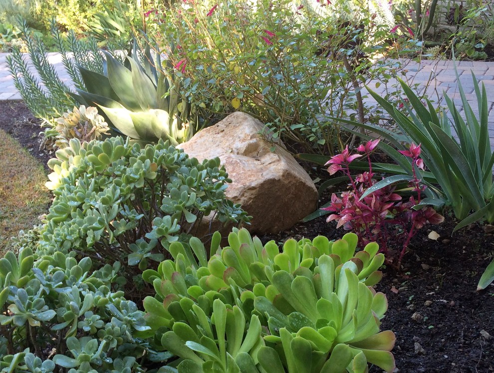 Westlake Village Residence - Contemporary - Landscape - Los Angeles ...