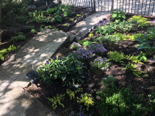 Williamsburg Shady Perennial Garden Design - Jardin - New York - par ...