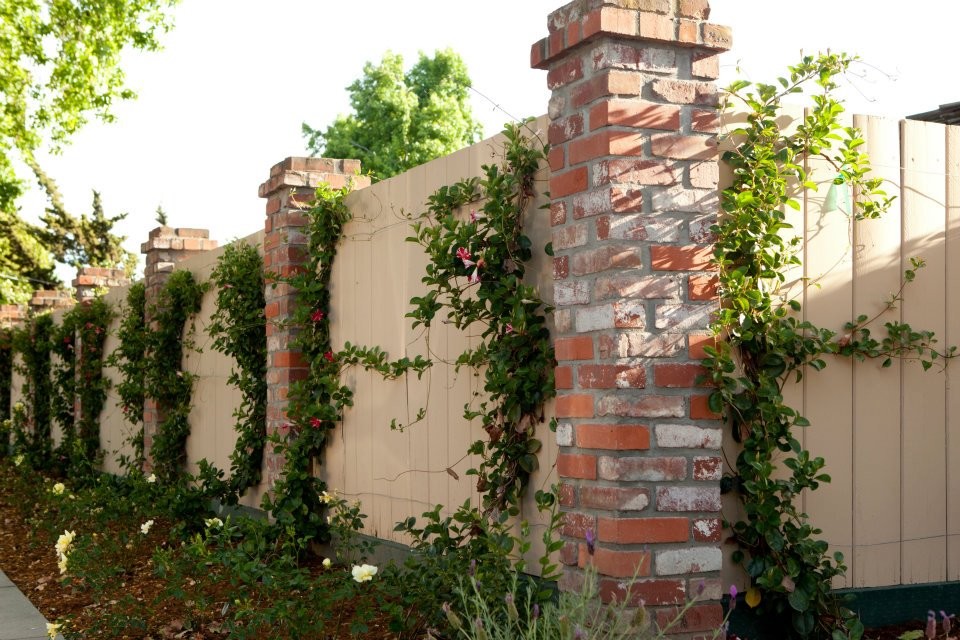 Willow Glen Design - Mediterranean - Landscape - San Francisco - by ...