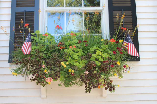 Window Boxes / Containers - Modern - Garten - Boston - von Atlantic ...