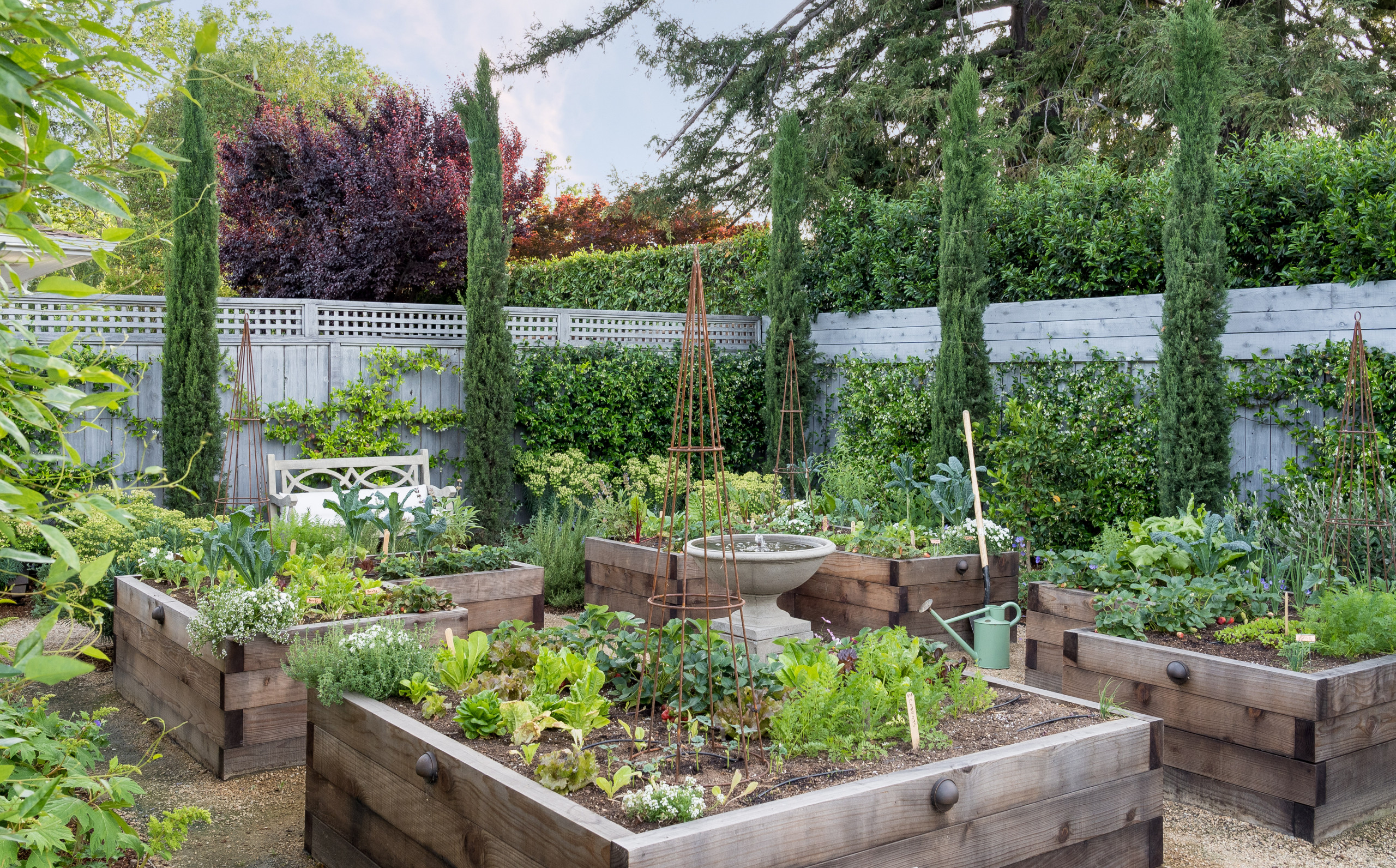 Edible Garden Layout