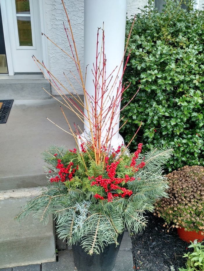 Winter Planters - Transitional - Landscape - Philadelphia - by Pickel ...