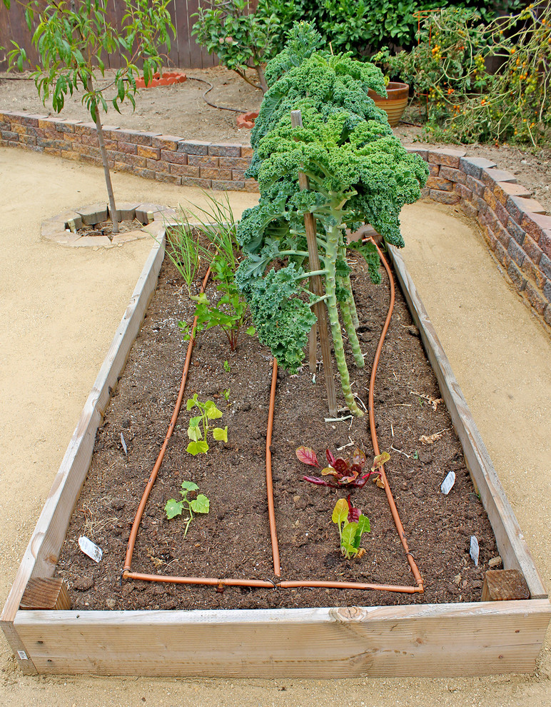 Wood Planter Box with Irrigation - Traditional - Landscape - Los ...