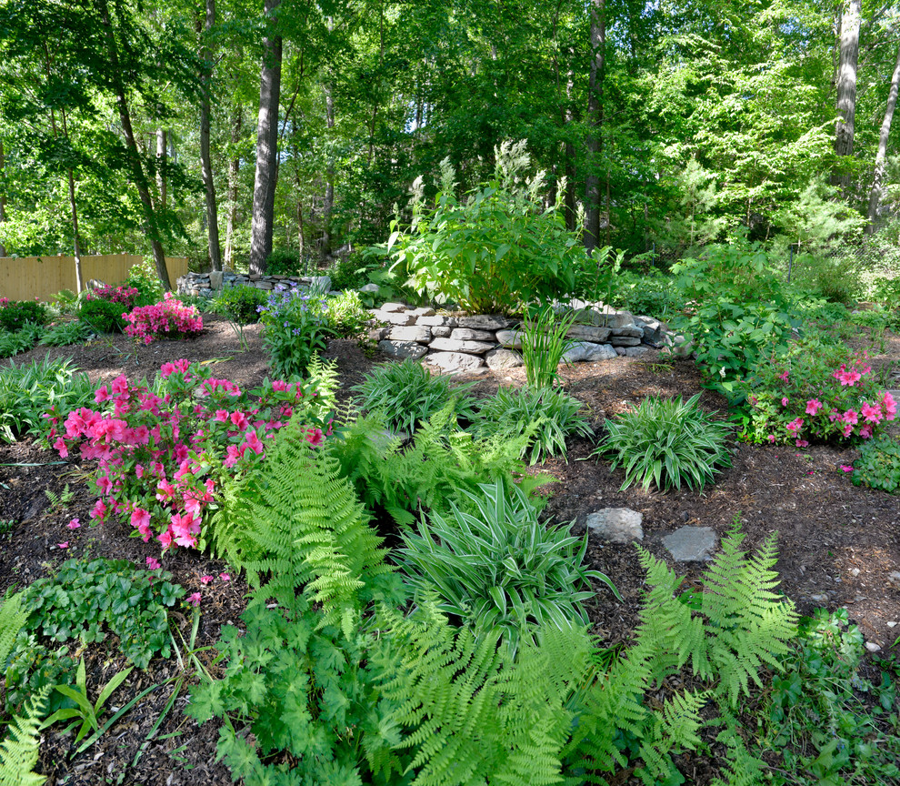 Woodland Garden on a Slope - Traditional - Landscape - Boston - by ...