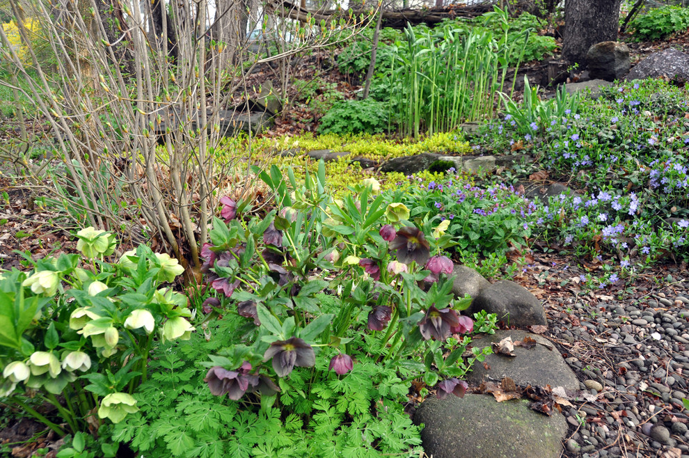 Woodland Ramble - Rustic - Landscape - New York - by ELM Garden Design ...