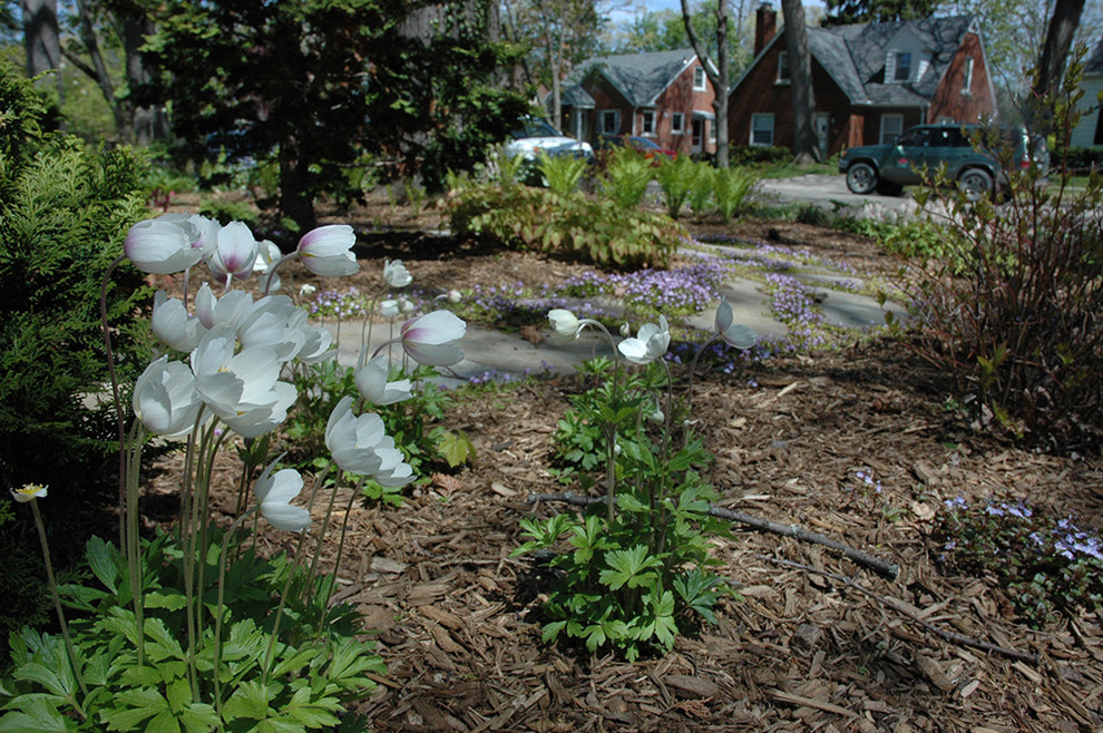 Woodland Sculpture Garden - Traditional - Garden - Detroit - by Lotus ...