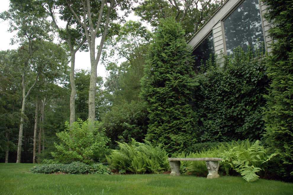 Woodland Understory - Traditional - Landscape - New York - by James C ...