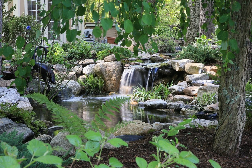 Woodland water feature - Jardin - Boston - par johnhod1 | Houzz
