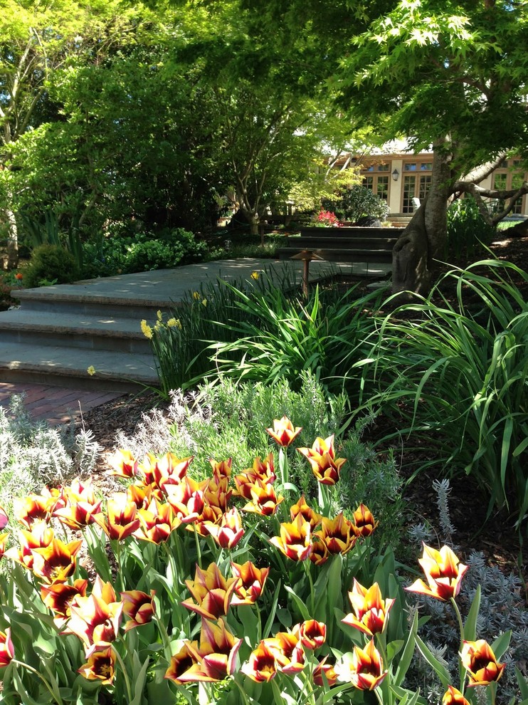 Woodside Garden Among the Oaks - Craftsman - Landscape - San Francisco ...