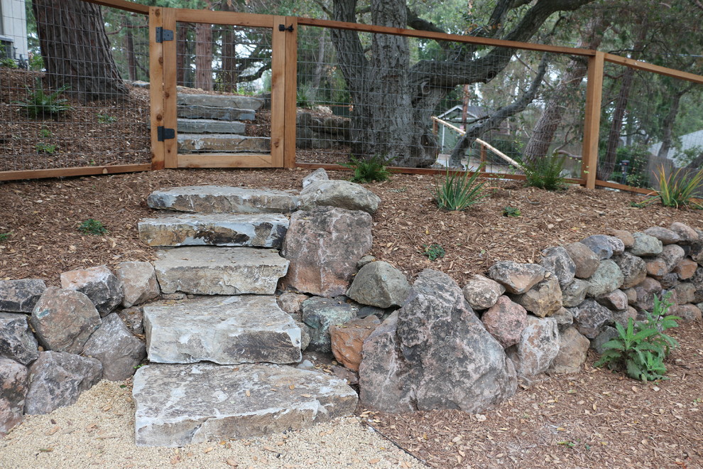 Woodside native - Landscape - San Francisco - by Curtis Horticulture ...