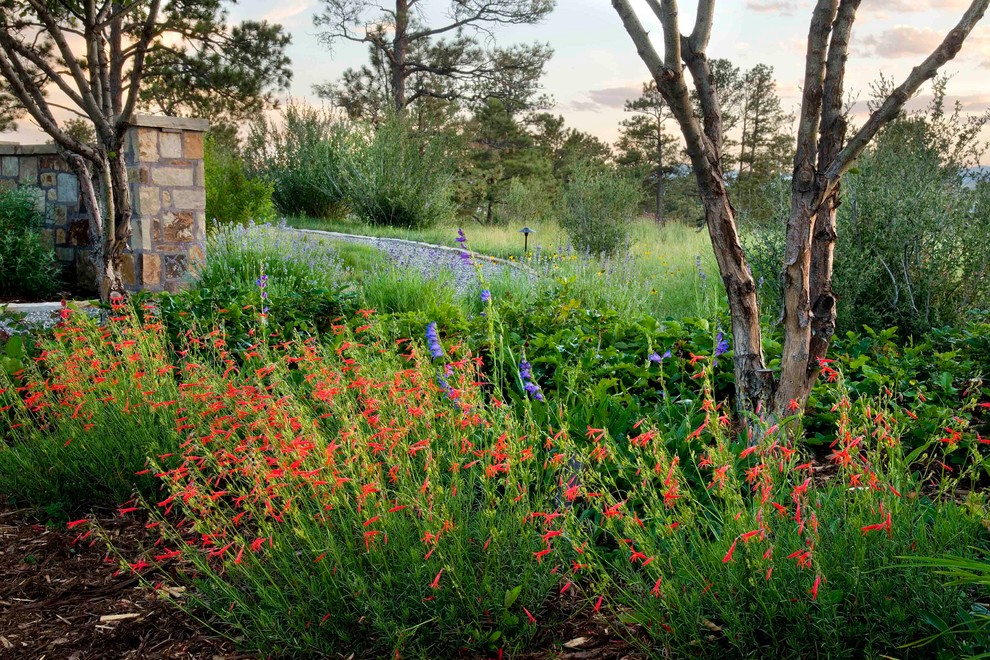 Xeric - Landscape - Denver - by Lifescape Colorado. | Houzz