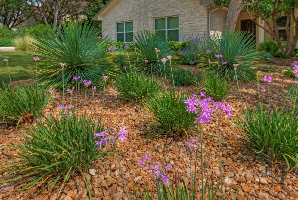 Xeric plantings - Traditional - Garden - Austin - by Pearson Landscape ...