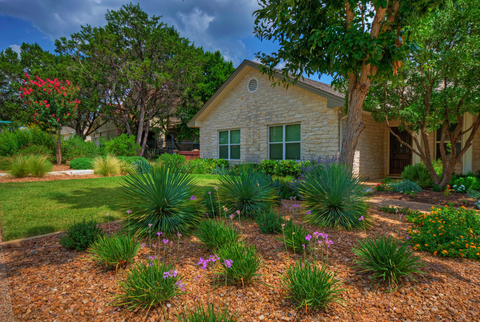 Xeric plantings - Traditional - Landscape - Austin - by Pearson ...