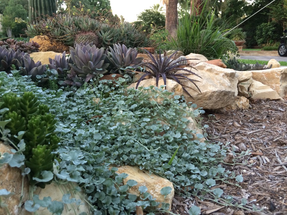Xeriscape #2 - Contemporary - Landscape - Austin - by Rhinamic ...