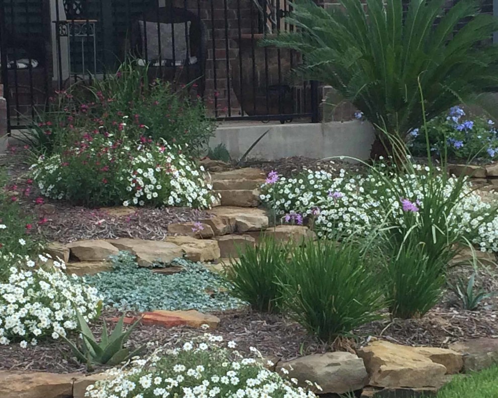 Xeriscape #4 - Transitional - Landscape - Austin - by Rhinamic ...