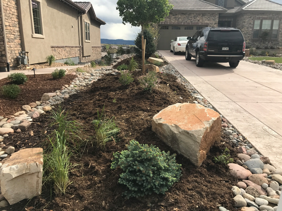 Xeriscape & Landscape Design - Contemporary - Landscape - Denver - by ...