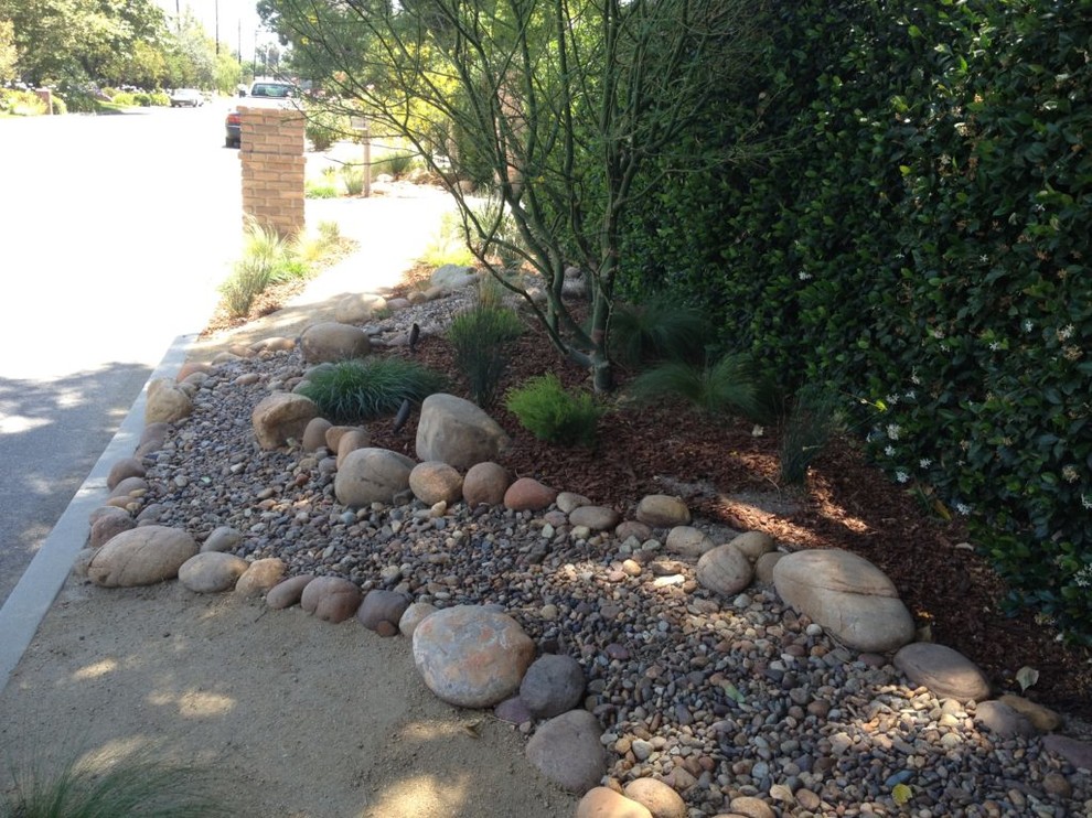 Xeriscape Design - Transitional - Landscape - Los Angeles - by Creative ...