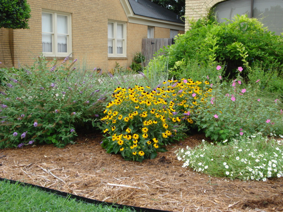Xeriscape - Eclectic - Landscape - Dallas - by Happy Gardens | Houzz