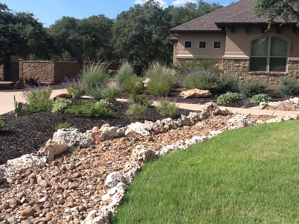 Xeriscape - Traditional - Landscape - Austin - by Lady Bug Designs | Houzz