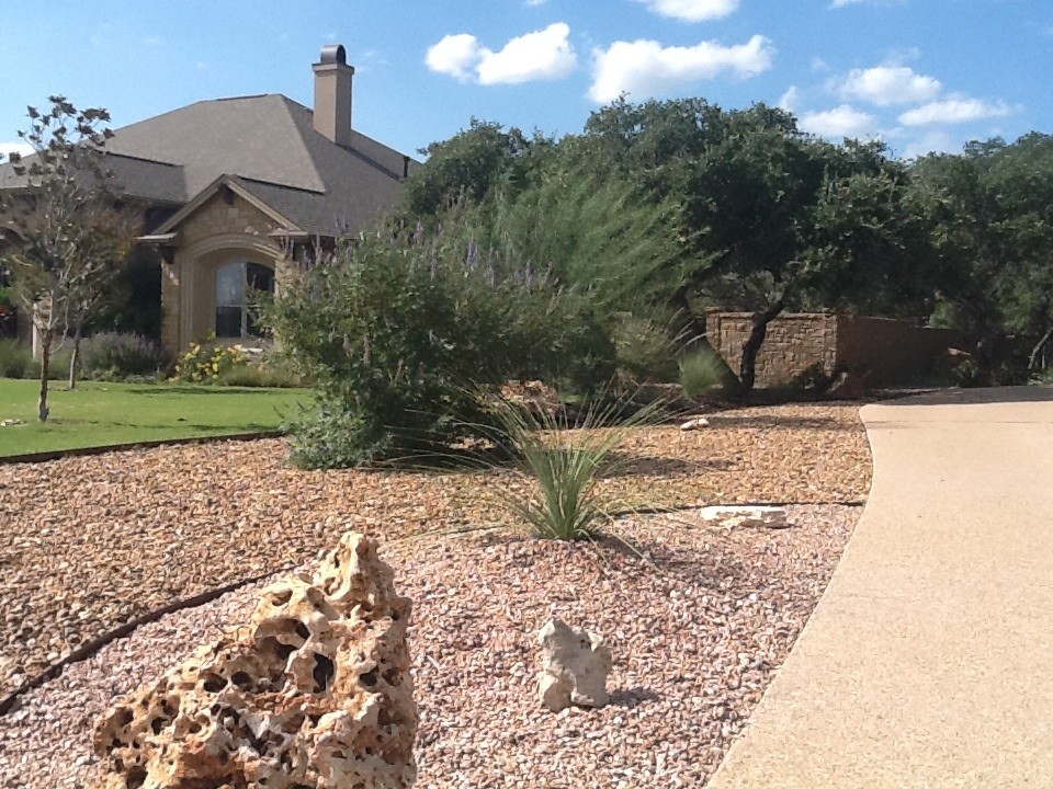 Xeriscape - Traditional - Landscape - Austin - by Lady Bug Designs | Houzz
