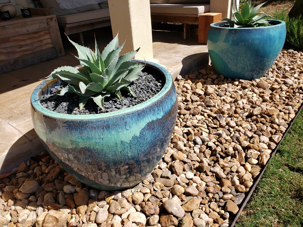 Xeriscape Lanscaping in Austin, TX - Contemporary - Landscape - Austin ...