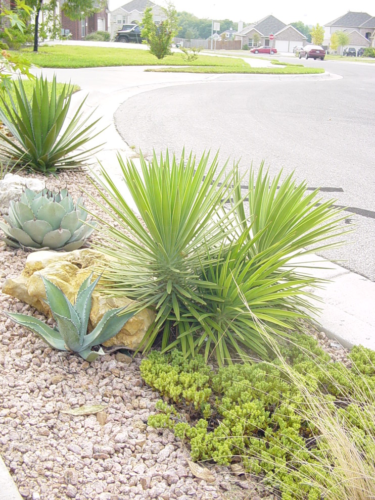 Xeriscape Lanscaping in Austin, TX - Contemporary - Landscape - Austin ...