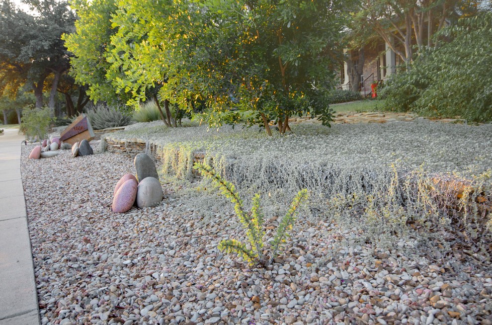 Xeriscape Project - Contemporary - Landscape - Austin - by The Austin ...