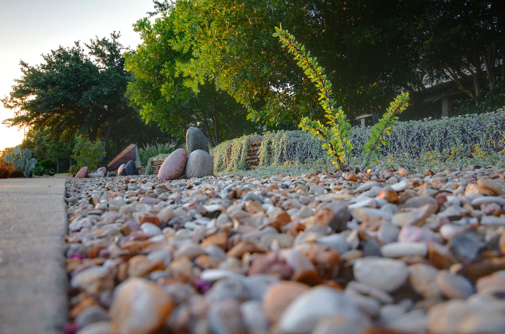 Xeriscape Project - Contemporary - Landscape - Austin - by The Austin ...