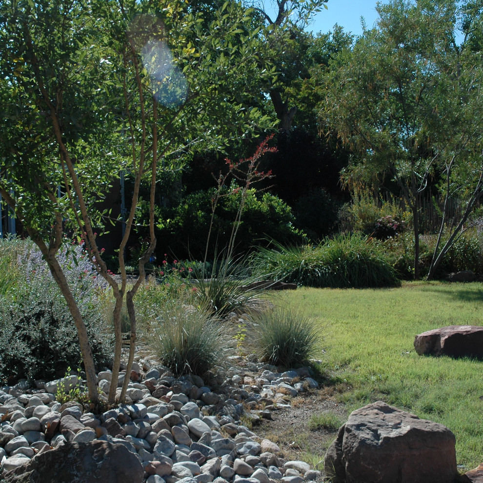 Xeriscape Projects - Southwestern - Landscape - Albuquerque - by Steve ...