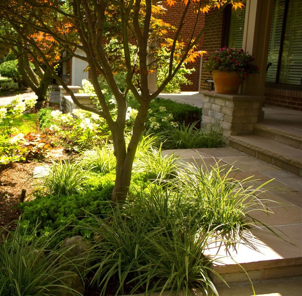 York Mills Makeover - Transitional - Landscape - Toronto - by Jennifer ...