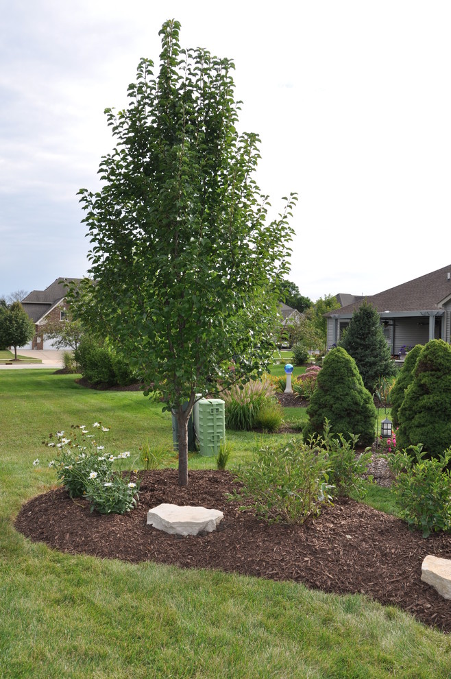Yorkville - Landscaping Berm - Traditional - Landscape - Chicago - by ...