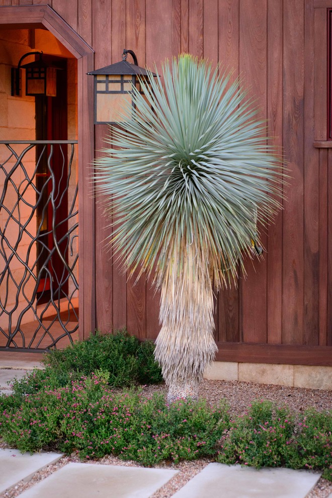 Yucca Rostrata with Pink Skullcap - Modern - Landscape - Austin - by ...