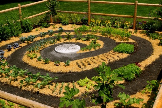 Circle Vegetable Garden Raised Bed Vegetable Garden Year 3 Summer Tour